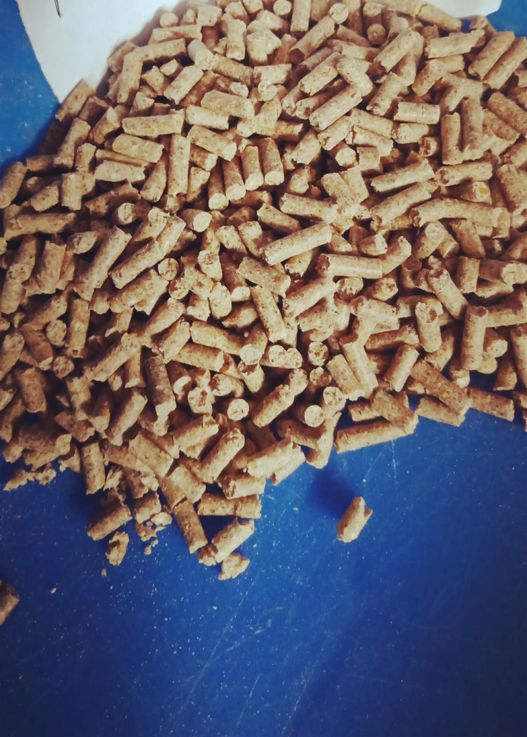 Fish-Grower | ShivShakti Agro